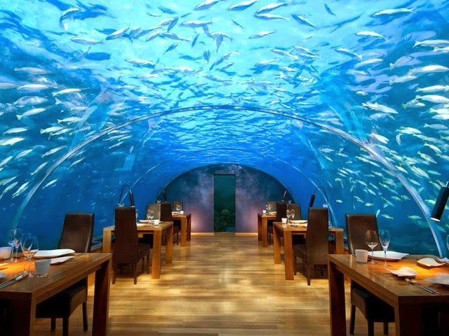 Doug Ross @ Journal: The 5 Most Exotic Restaurant Venues in the World